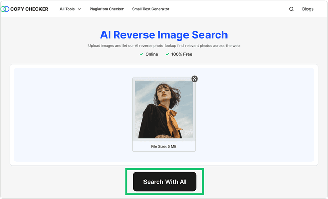 AI Reverse Image Search | Face Search Person by Photo