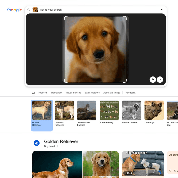 How to Search Using an Image with CopyChecker